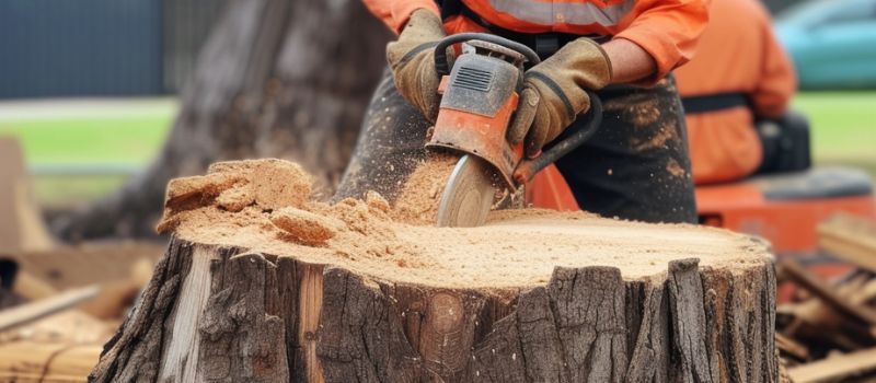 Stump Grinding Brisbane | ABC Tree Lopping - Remove Unsightly Stumps