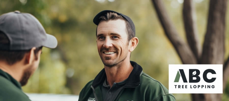 ABC Tree Lopping Brisbane | Expert Tree Care Services